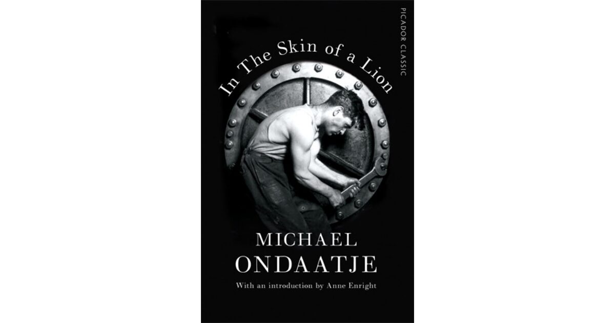Lilydale Books | IN THE SKIN OF A LION