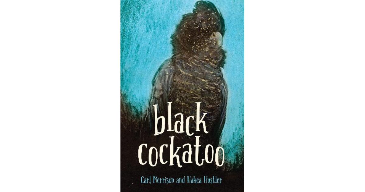 Lilydale Books | BLACK COCKATOO