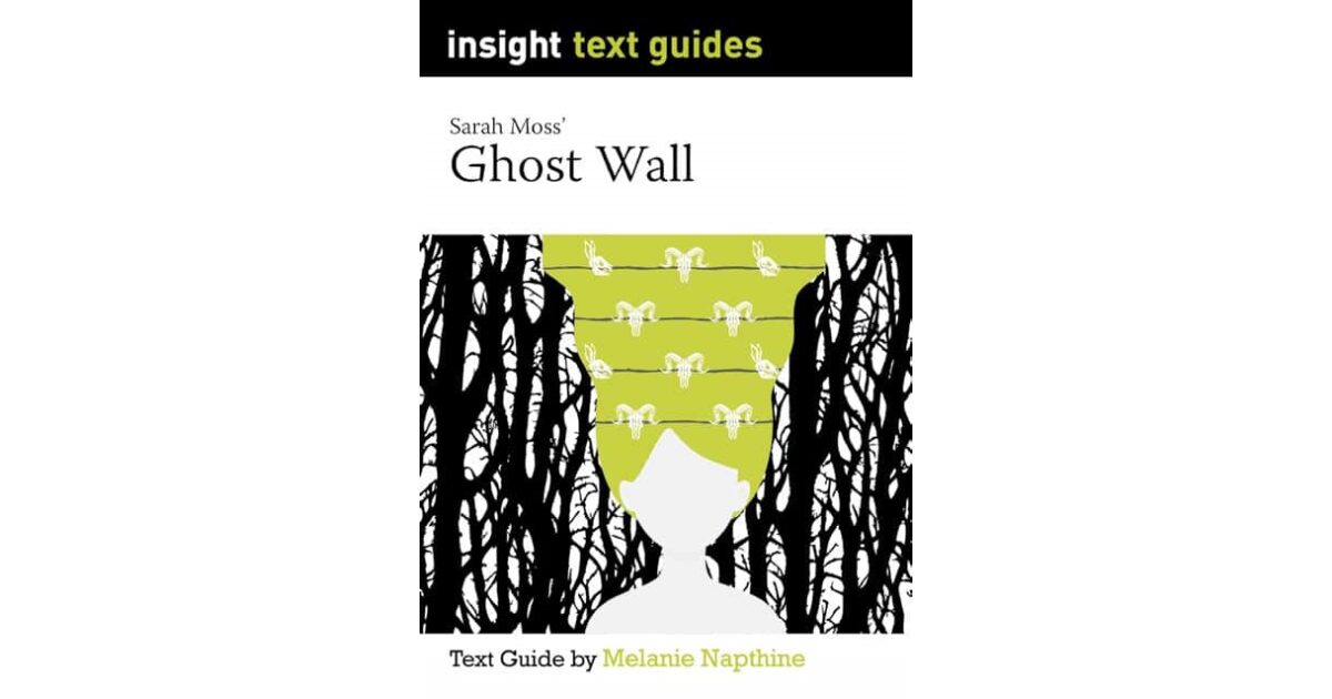 Lilydale Books | INSIGHT TEXT GUIDE: GHOST WALL