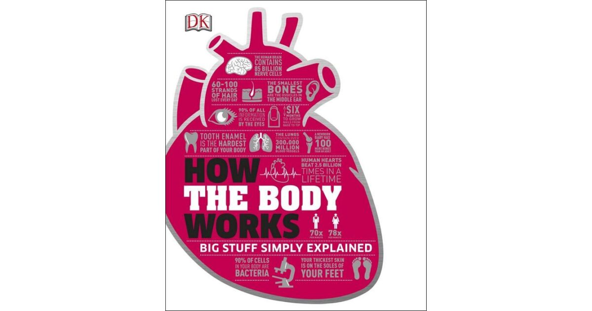 Lilydale Books | HOW THE BODY WORKS