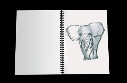 Lilydale Books | A4 JASART JUMBO VISUAL DIARY 100 SHEET / 200 PAGE…